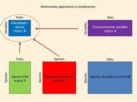 Ppt Advanced Analytical Approaches In Ecological Data Analysis Powerpoint Presentation Id