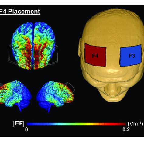 Example Of A 2 Back Working Memory Task Download Scientific Diagram