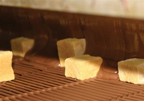 Home Sweet Home For Robern Menz The Cultivator Autumn 2019 Manildra Group