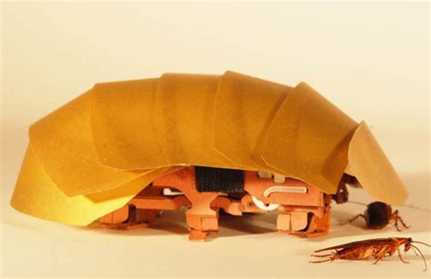 The Tiny Cockroach Robot Can Be Helpful In Rescue Operations