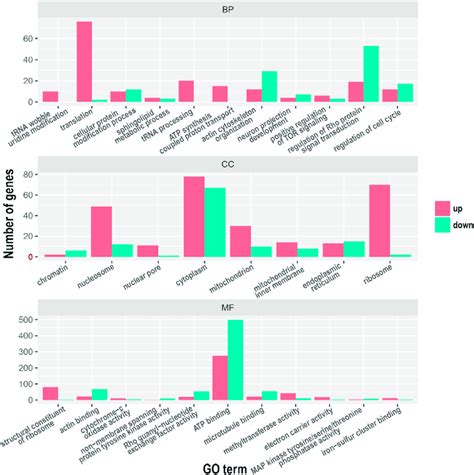Functional Classification Of Assembled Unique Sequences Identified In Download Scientific