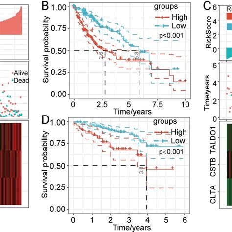 Evaluation And Validation Of The Predictive Efficacy Of The Prognostic