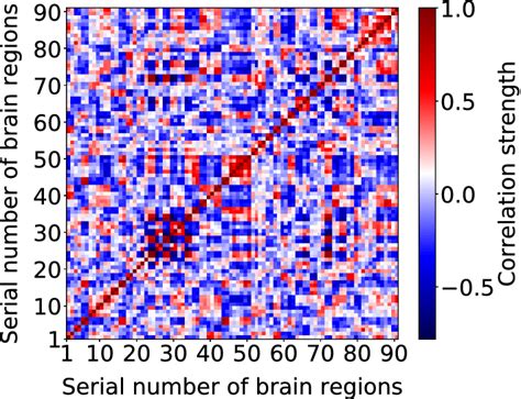 Correlation Coefficients Of Brain Regions Colors Indicate The