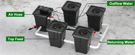 Rdwc Hydroponics Grow System 4 Site Reservoir 7 Gallon Top Drip Recirculating