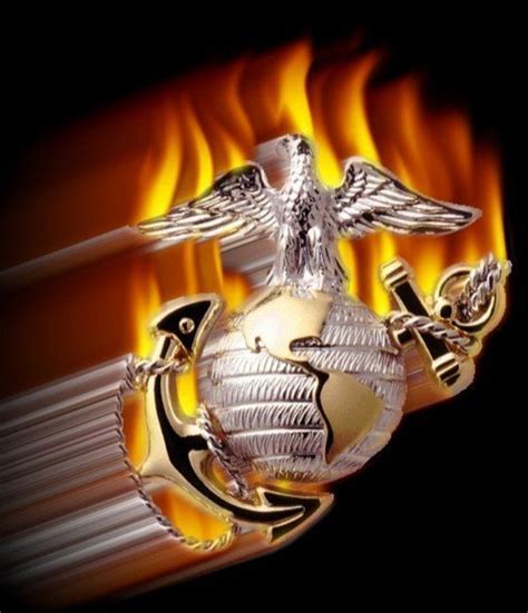 Flaming Eagle Globe And Anchor Ega Us Marine Corps Marine Corps Usmc