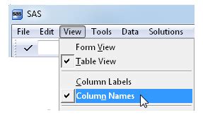 How To View A SAS Dataset In Form View Via Enterprise Guide Stack Overflow