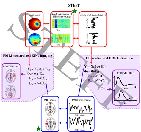Figure 1 From A Parallel Framework For Simultaneous Eegfmri Analysis