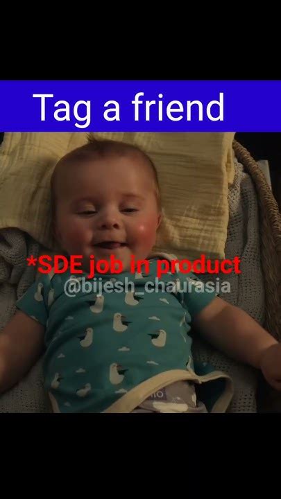 Software Developer Freshers Youtube