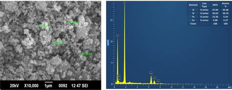 a sem image of cofe2o4 sio2 and b edx of cofe2o4 sio2 download