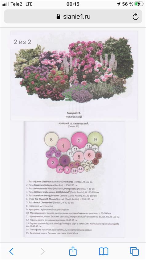 Пин от пользователя Snow на доске Дом сад Цветник план Композиции цветников Цветник