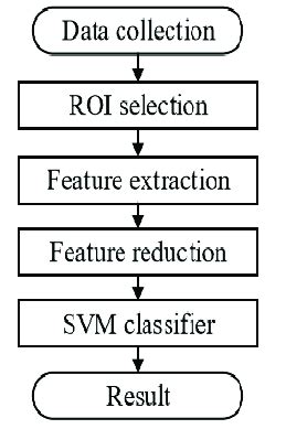 Diagram Of The Flame Detection Method Download Scientific Diagram