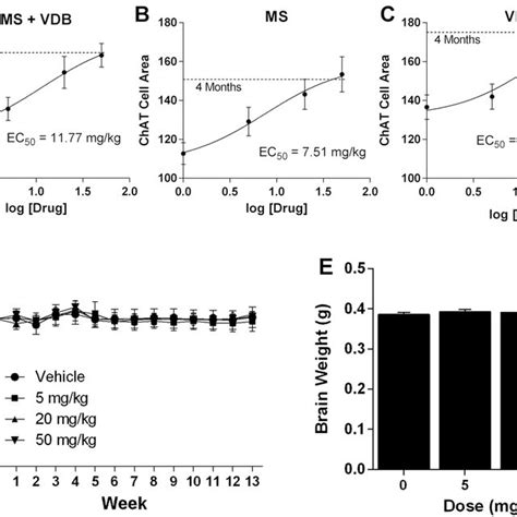 Morphology And Distribution Of Cholinergic Neurons In The Mouse Brain Download Scientific