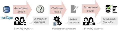 The Challenge Bioasq Org