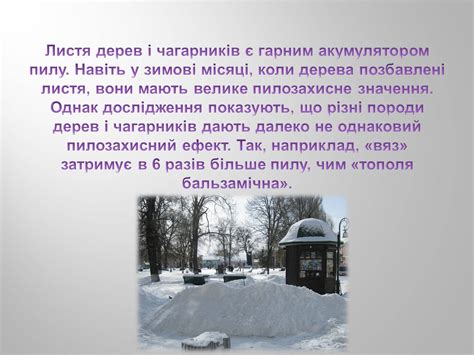 Презентація на тему Вплив зелених насаджень на загазованість міста Броди — презентації з