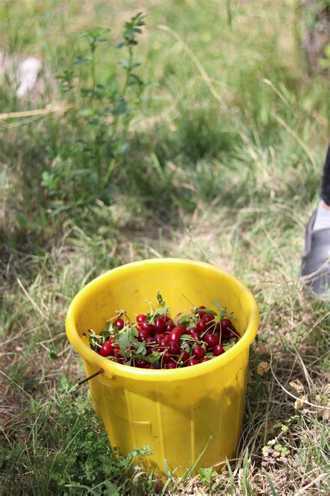 Lingerie Collection Photos Download The Best Free Lingerie Collection