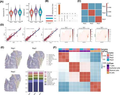 St Ffpe Mif Integrating Spatial Transcriptomics And Multiplex