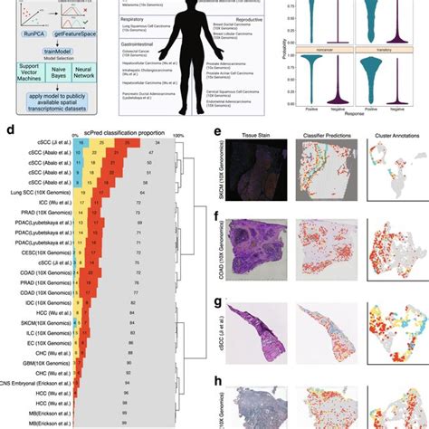A Machine Learning Model Identifies Conserved Tc And Le Signatures