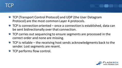 the transport layer header tcp and udp flackbox