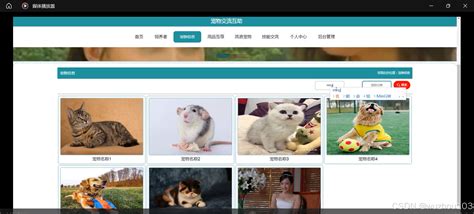 基于ssmvue宠物交流互助开题报告程序论文java Csdn博客 基于ssmvue宠物交流互助开题报告程序论文java Csdn博客
