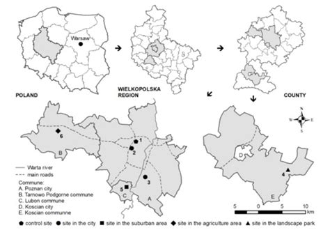 Processes Special Issue Applications Of Bioprocess Processes In Environmental Protection And