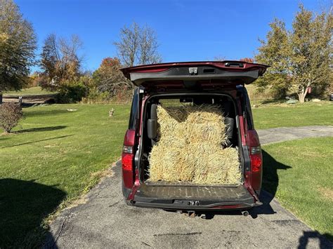 2004 Element Awd What Front Replacement Struts Are You All Using R