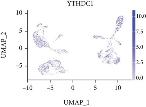 Validation Of The Role Of Ythdc1 In Regulating Stemness Maintenance At Download Scientific