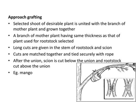 Propagationmethodspptx Infertility Reproductive Health