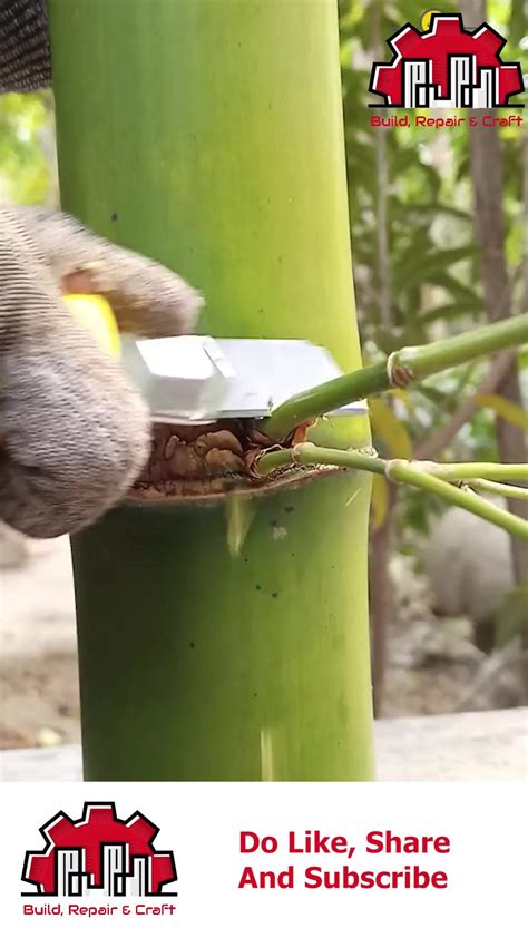 title how to create a bamboo gun bamboo crafts tutorial description in this tutorial video