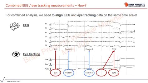 Eeg Eye Tracking Data Synchronization