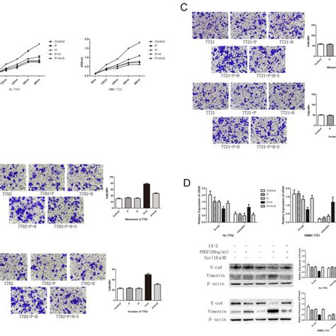 Activation Of The LX 2 Cell Line Using PDGF With Or Without Sorafenib