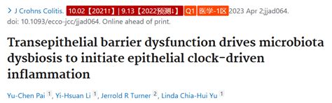 苏黎世大学天然多胺亚精胺显著改善结肠炎 肠道 保护 细胞