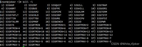 linux进程详解：定义、区别与管理 csdn博客