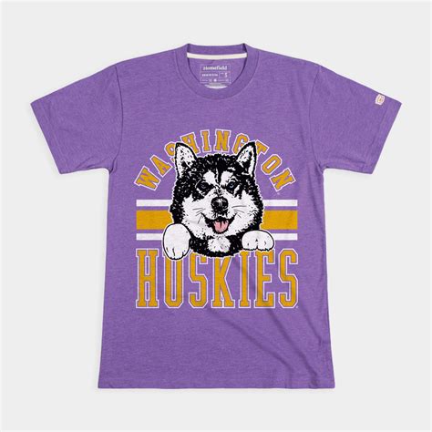 Washington Huskies Vintage Inspired Throwback Tee Homefield