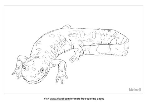 Coloring Cave Salamander Quest Pages Sal Drawing Vbs Crafts Day Sheets Preschool Printable