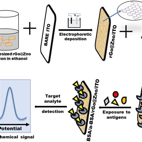 Dma Test Results Storage Modulus And Loss Factor Download Scientific Diagram