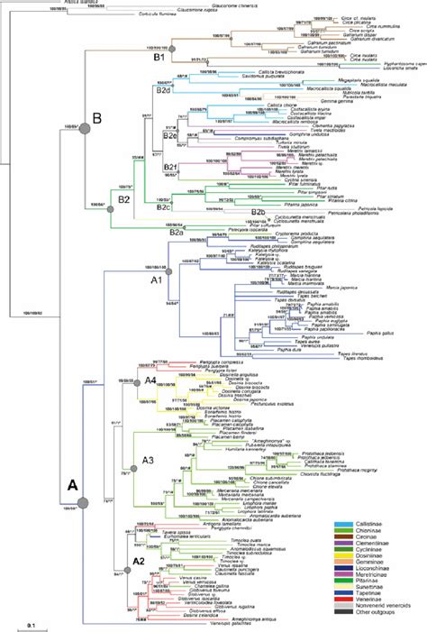 Bayesian Phylogenetic Tree For Individuals Based On The Complete Download Scientific