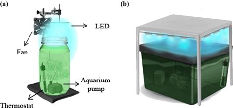 Photobioreactors A Photobioreactor Used In The Screening Step And Download Scientific Diagram