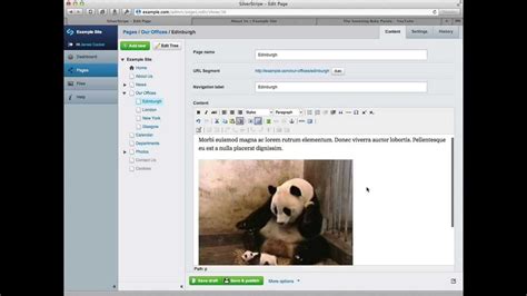 Silverstripe Cms Inserting Videos Youtube