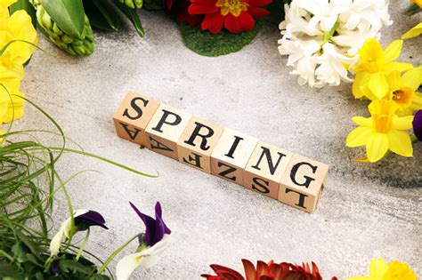 봄 플랫 누워 나무 편지입니다 아름다운 봄 꽃과 튤립 정원사와 화분을위한 도구 세트 0명에 대한 스톡 사진 및 기타 이미지 0명 계절 꽃 식물 Istock