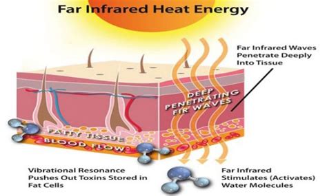 Infrared Therapy Vs LED 18 Differences And Comparisons Infrared For Health
