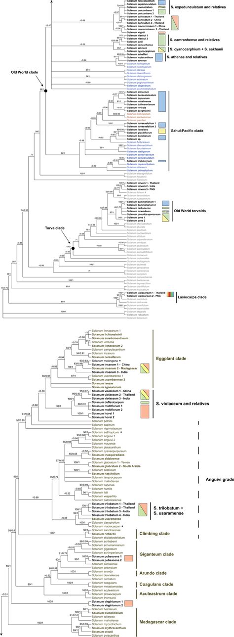 A B 50 Majority Rule Tree From The Bayesian Partitioned Analysis Of