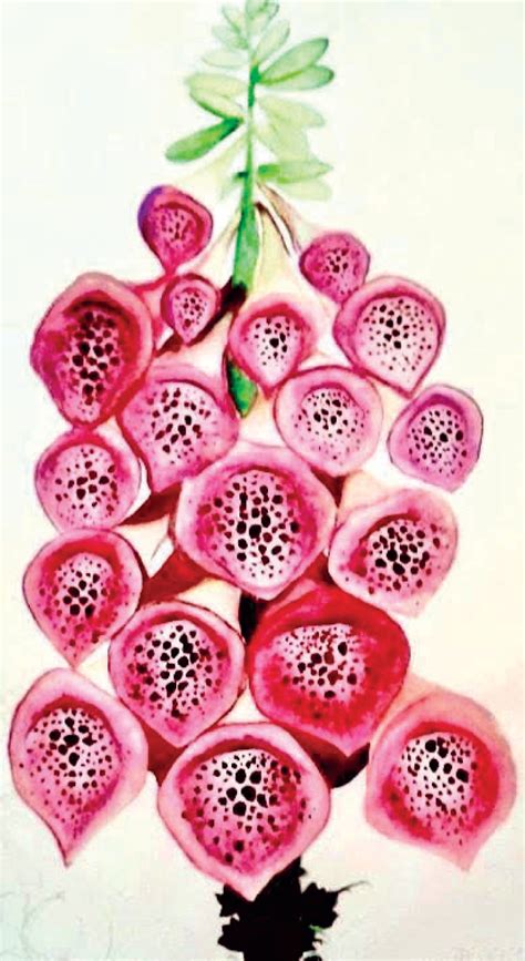 Journal Of Paramedic Practice Digoxin Toxicity 2019