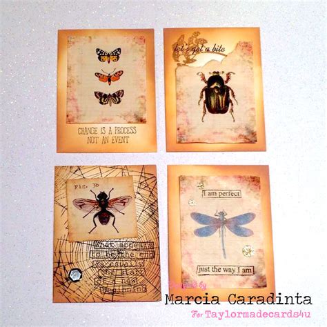 bug notecards the frolicking fairy and the farting gnome