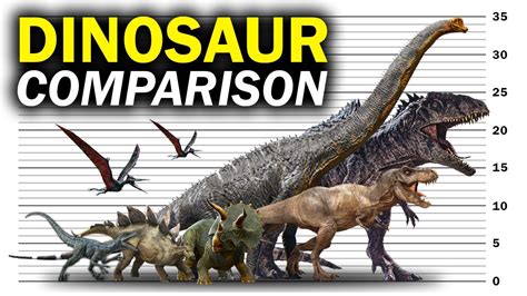Dinosaur Size Comparison Youtube
