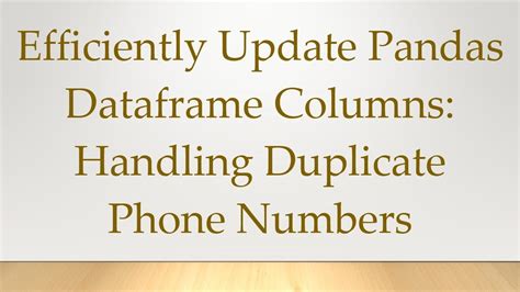 Efficiently Update Pandas Dataframe Columns Handling Duplicate Phone