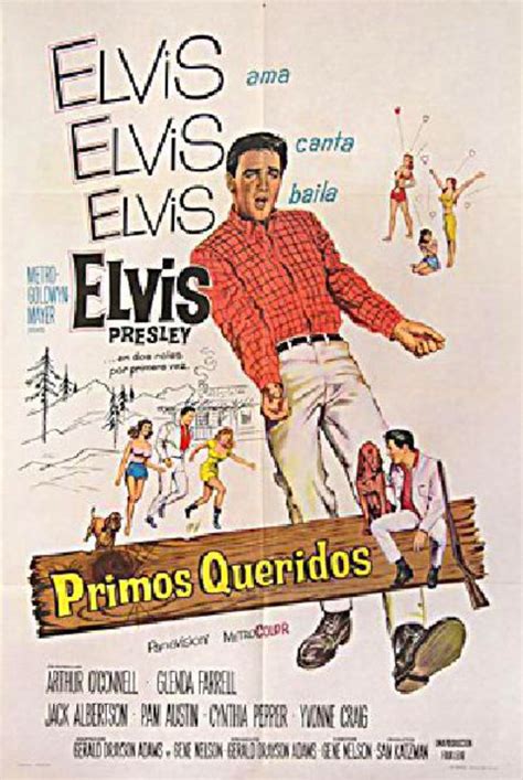 Kissin Cousins Original 1964 Argentine Movie Poster Posteritati
