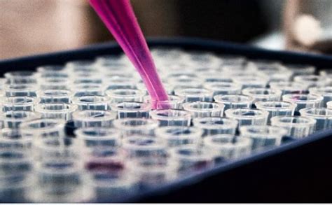 zhong lab ut southwestern dallas texas