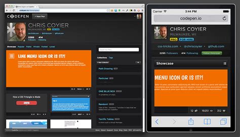 Profiles 20 Organize Your Showcase And Customize With Css Codepen Blog