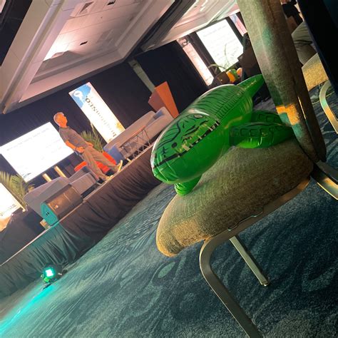 Alligators At Seo Conference