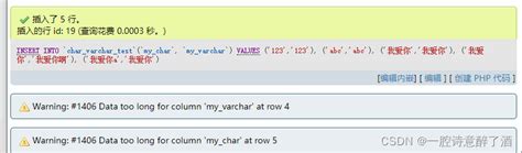 被误解的tinyint1 Csdn博客